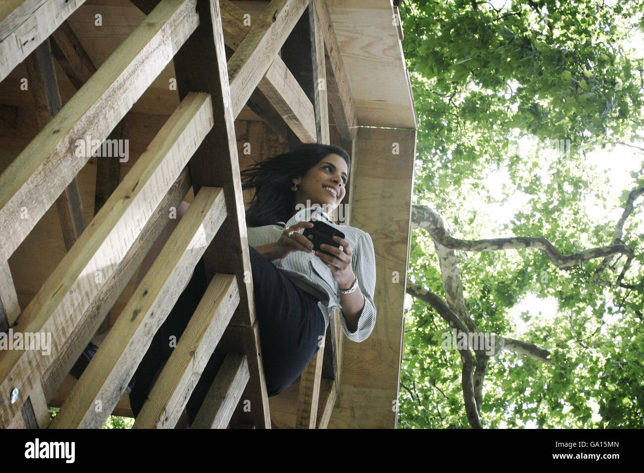 Public tree office Stock Photo - Alamy