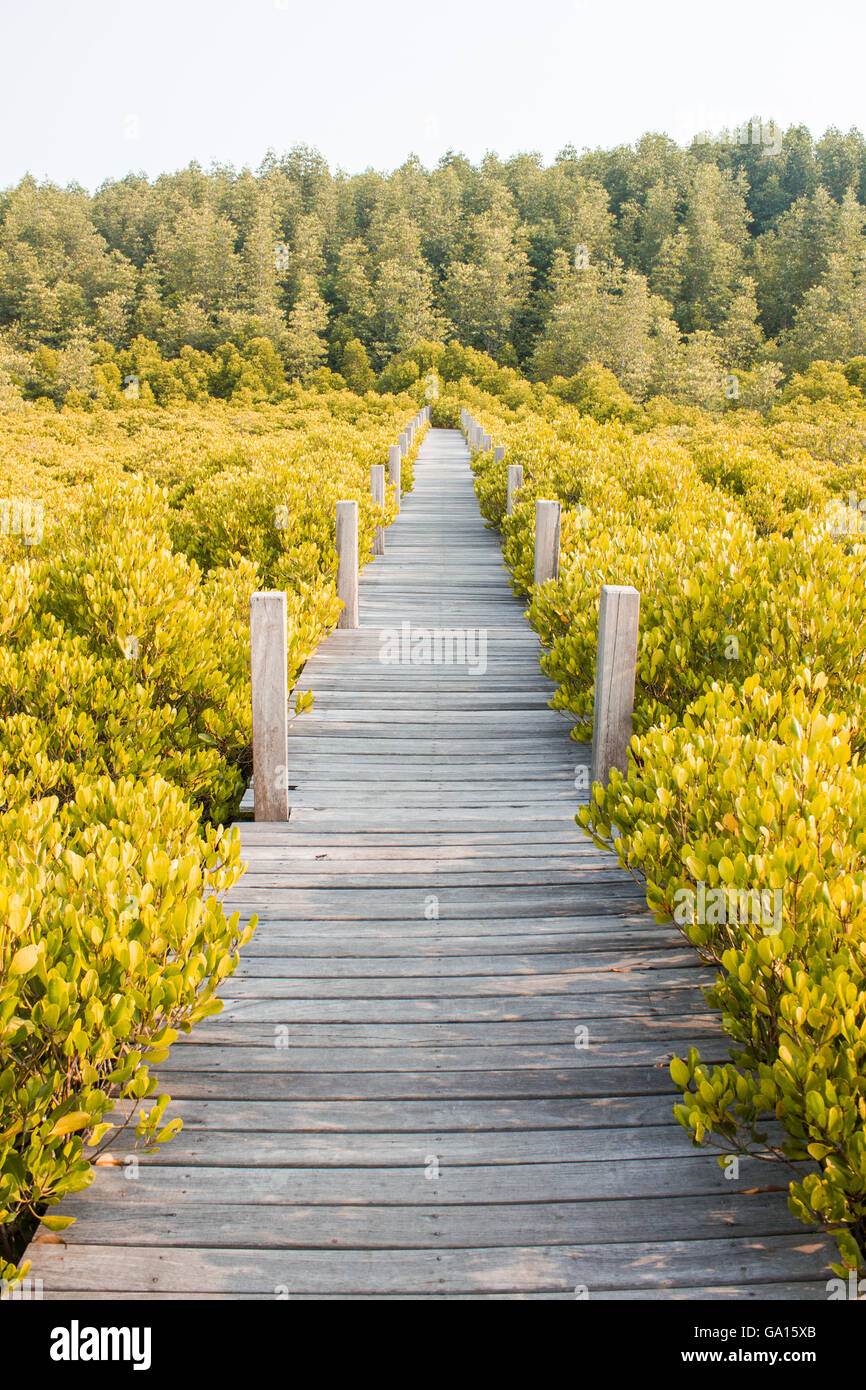 Yellow forest landscape and wood bridge Stock Photo - Alamy