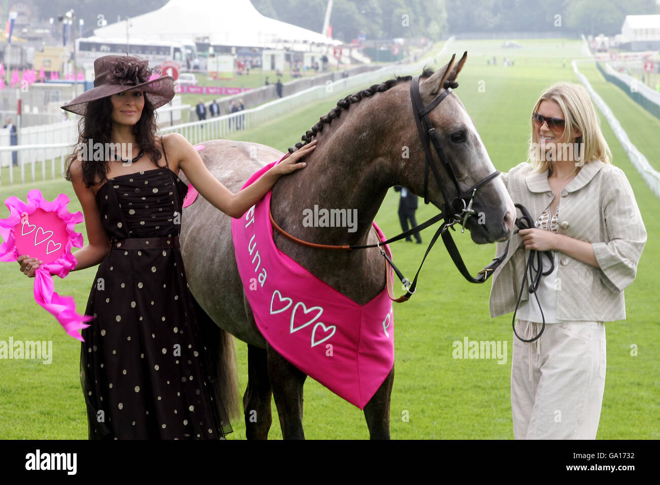 Horse fashion hi-res stock photography and images - Alamy