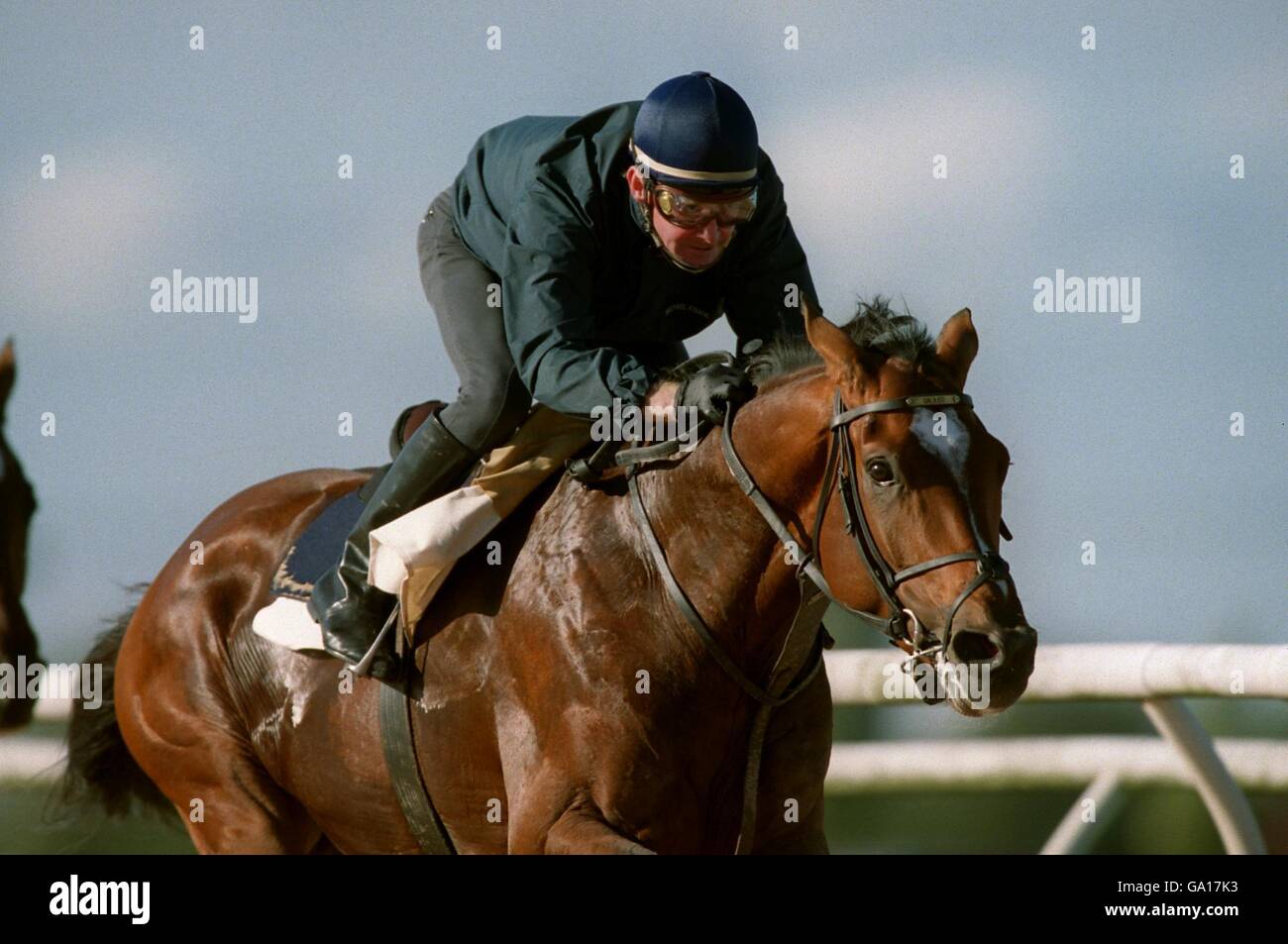 Galileo horse hi-res stock photography and images - Alamy