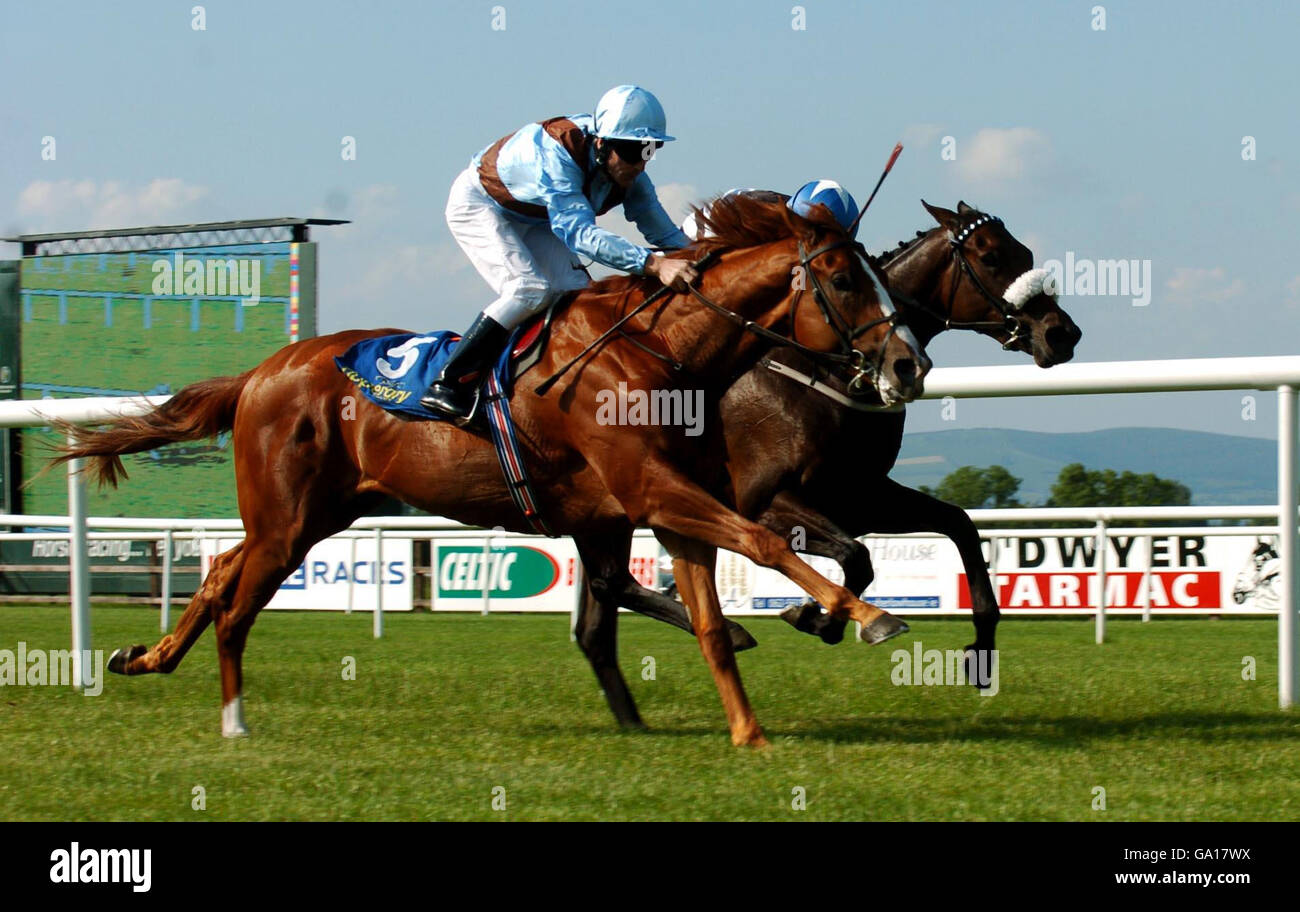 Tipperary racecourse hi-res stock photography and images - Alamy