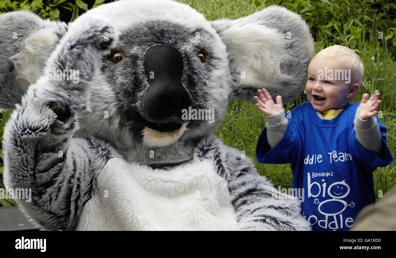 Two-year-old Jordan James Steel and Clive the Koala take part in ...