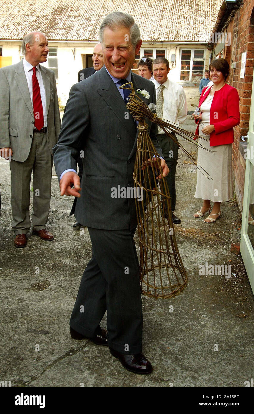 Salmon suit hi-res stock photography and images - Alamy