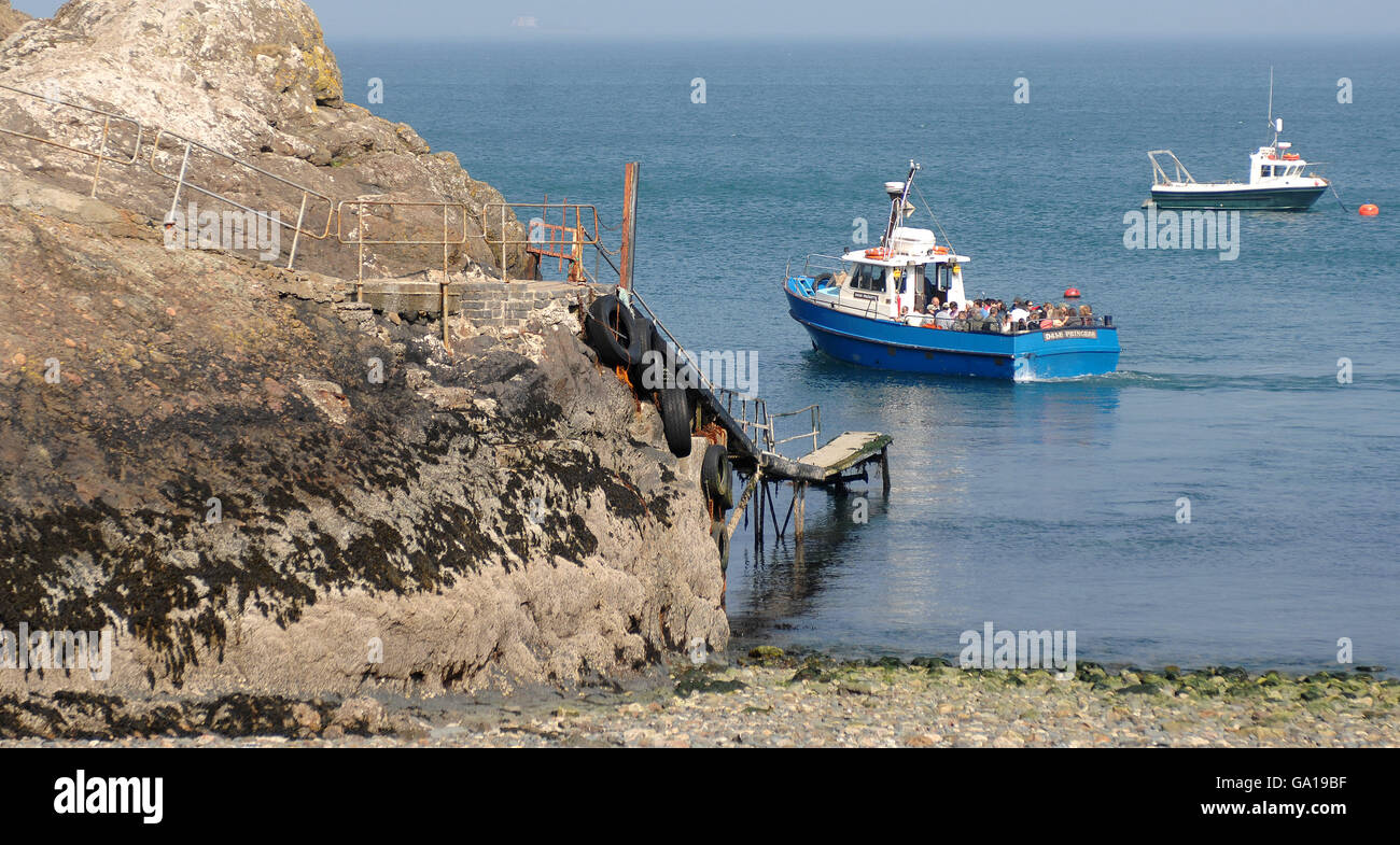 'The Dale Princess', the Skomer Island ferry leaves from Martin's Haven ...