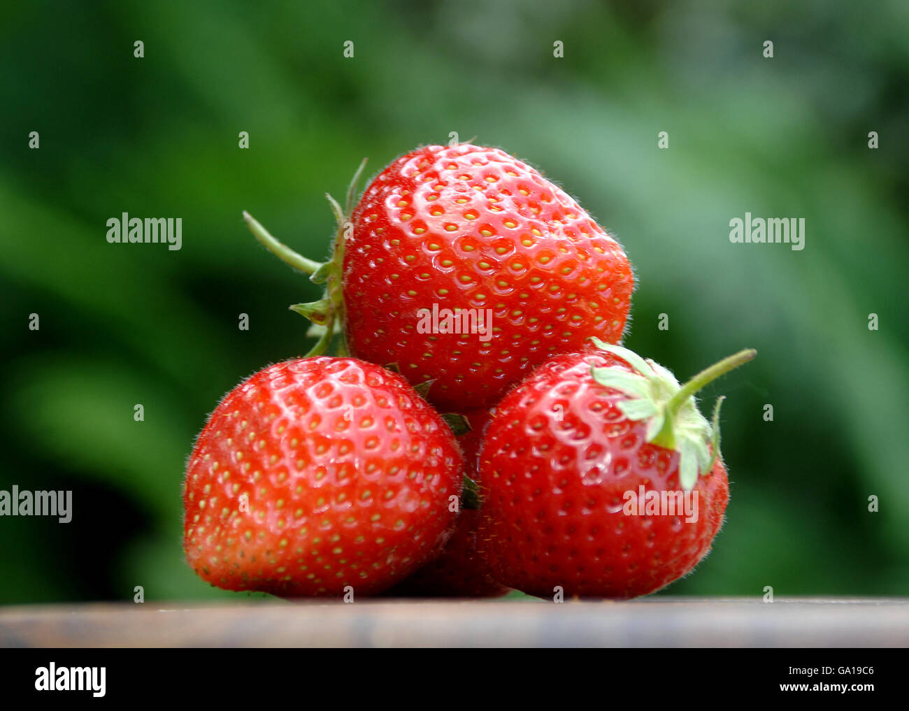 Quintessentiallybritishstck hi-res stock photography and images - Alamy