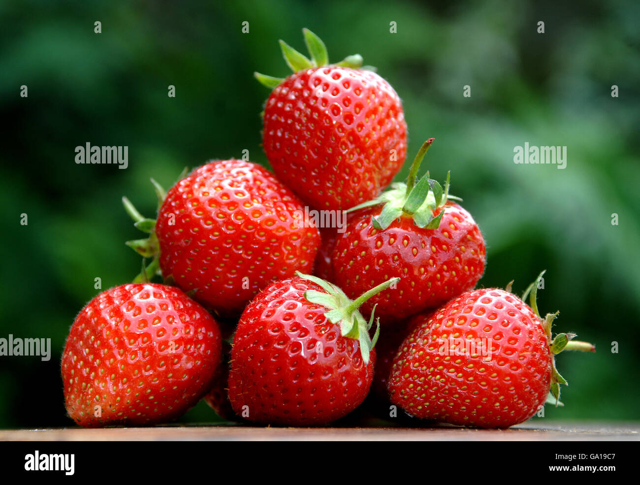 Quintessentiallybritishstck hi-res stock photography and images - Alamy