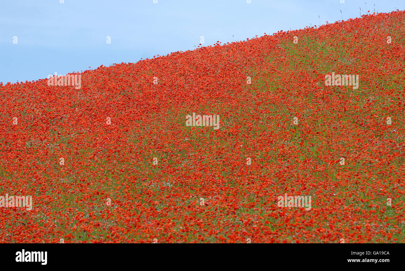 Quintessentiallybritish High Resolution Stock Photography and Images ...