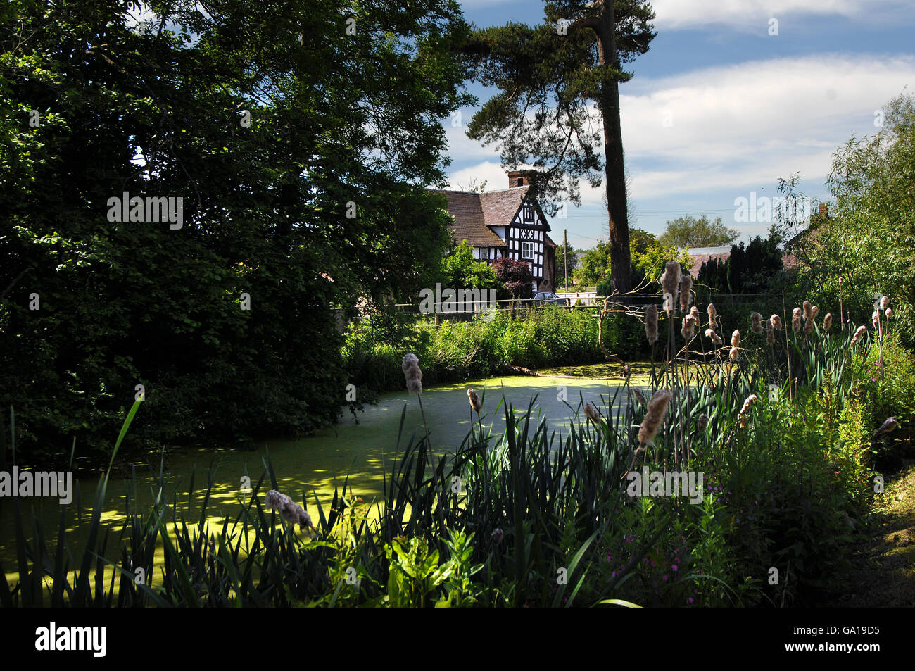 Quintessentiallybritishstck hi-res stock photography and images - Alamy
