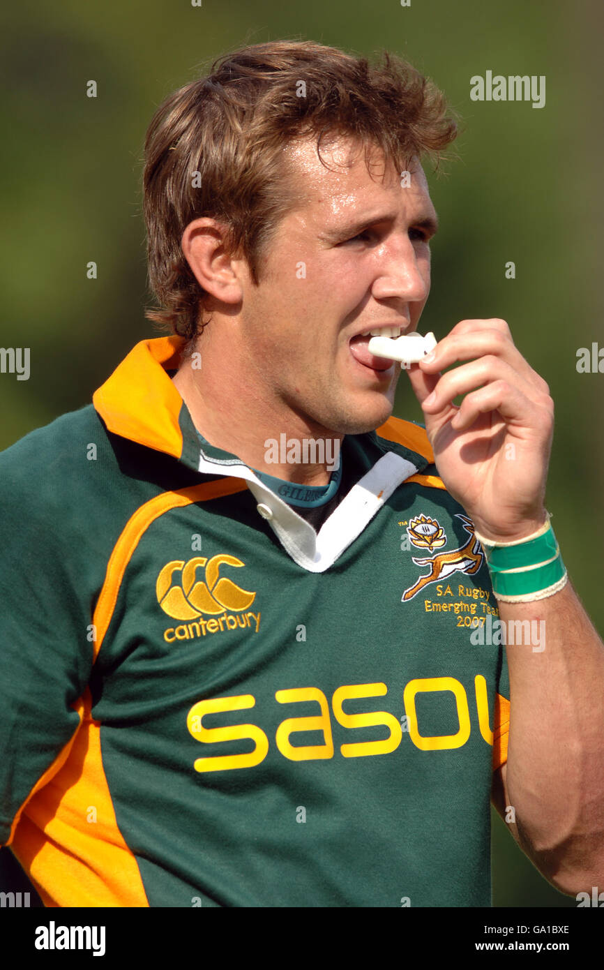 Emerging springboks hi-res stock photography and images - Alamy