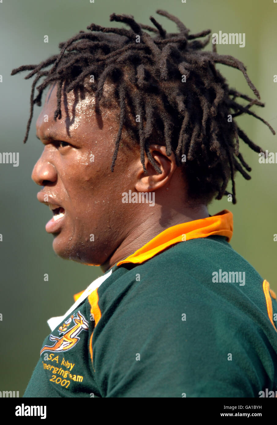 Emerging springboks v georgia hi-res stock photography and images - Alamy