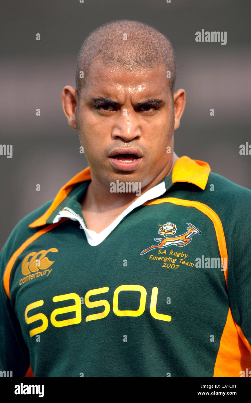 Emerging springboks hi-res stock photography and images - Alamy