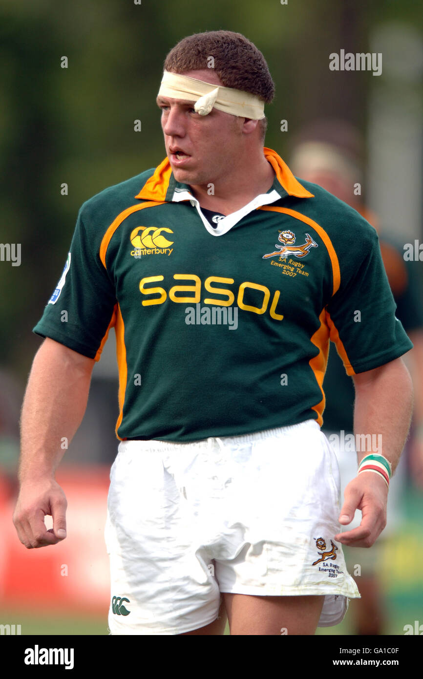 Emerging springboks hi-res stock photography and images - Alamy