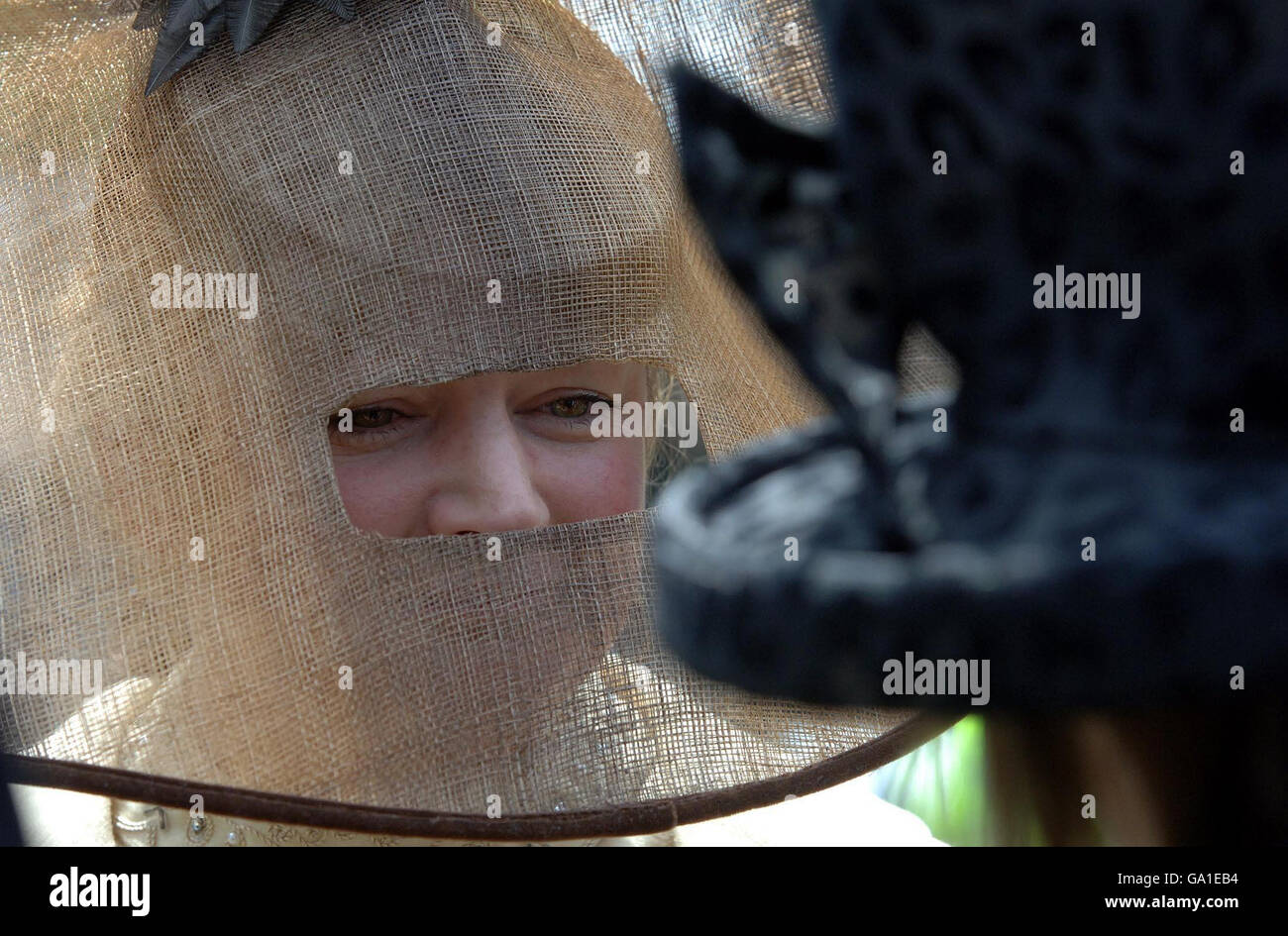 Scotland arrives at the royal enclosure at the ascot racecourse hi-res ...