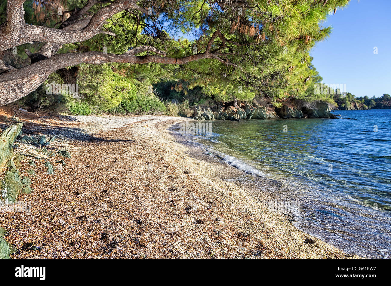 Forest and amazing sea, in Sithonia, Chalkidiki, Greece Stock Photo - Alamy