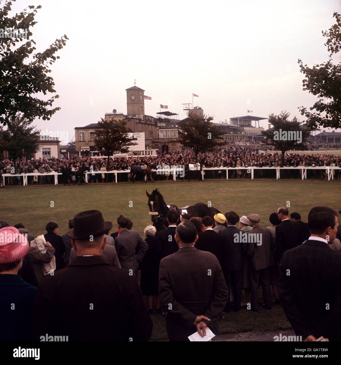 Horse racing paddock parade hi-res stock photography and images - Alamy