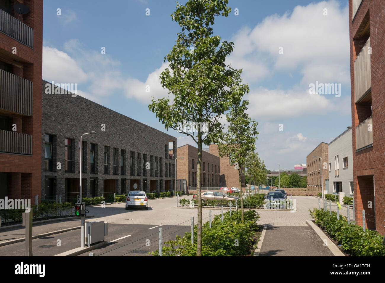 Modern housing in areas of urban regeneration,new Gorbals, Glasgow ...