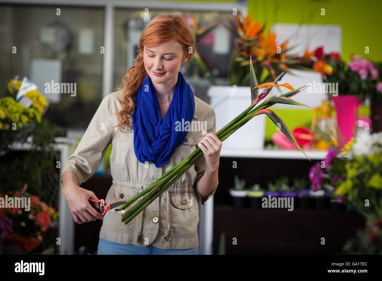 Female florist trimming flower stem Stock Photo - Alamy