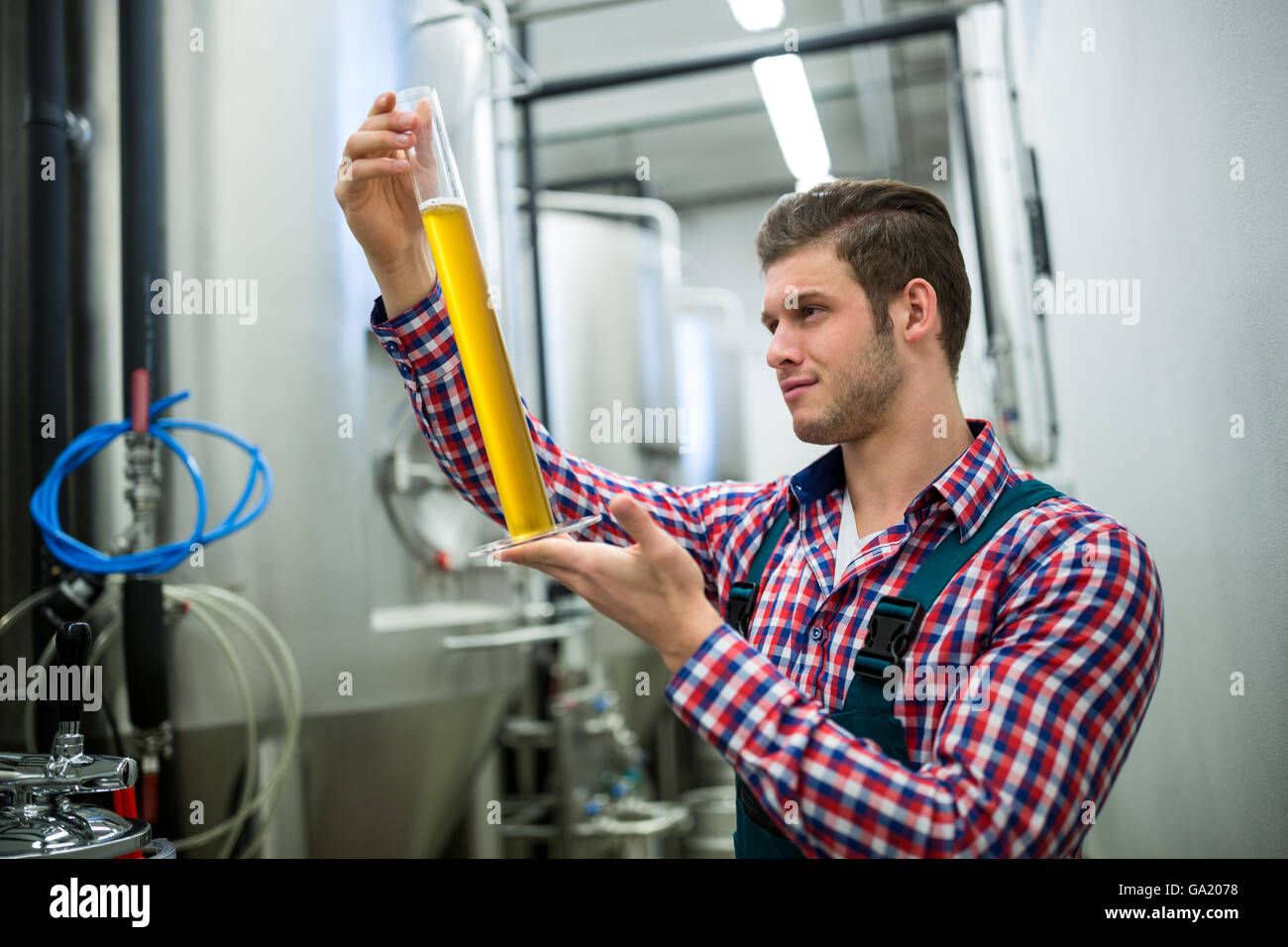Brewer testing beer Stock Photo - Alamy