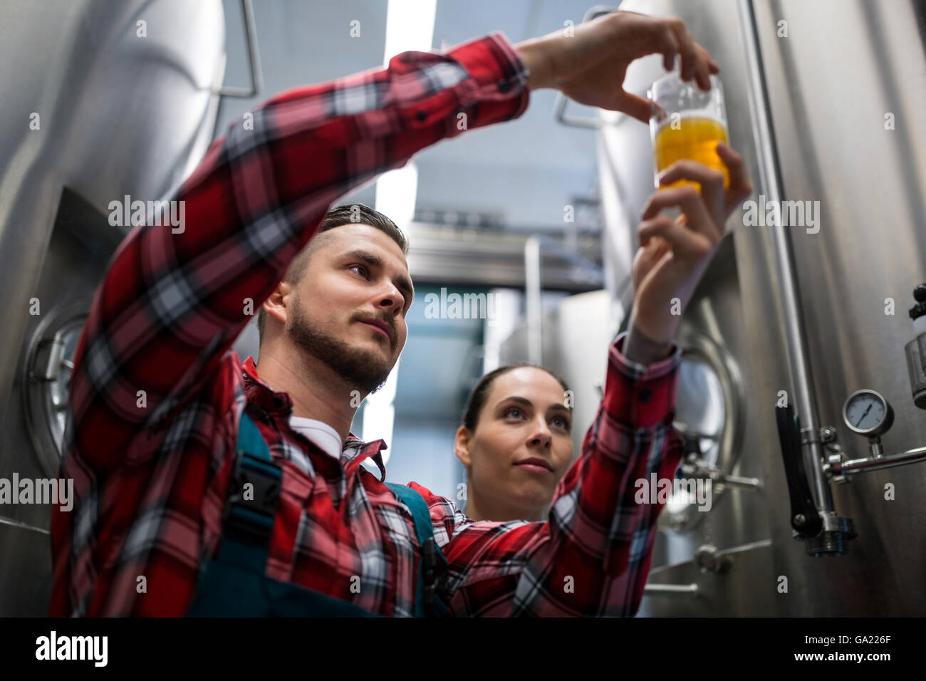 Brewers testing beer Stock Photo - Alamy
