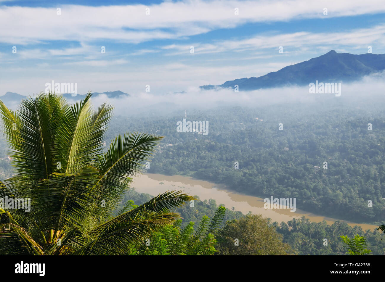 Trees and mountains sky in summer tropical leaves hi-res stock ...