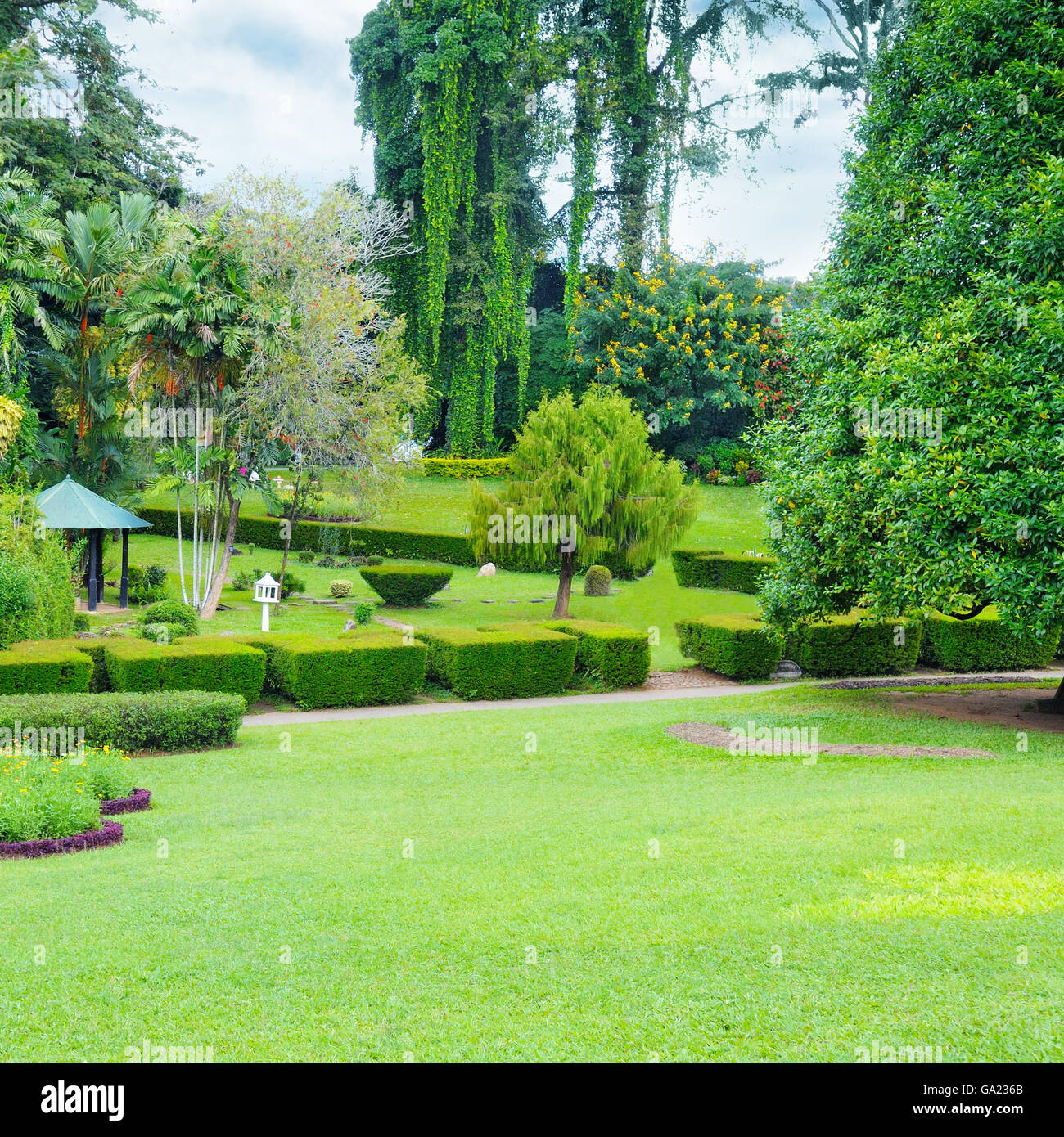 Lawn sky hedge hi-res stock photography and images - Alamy