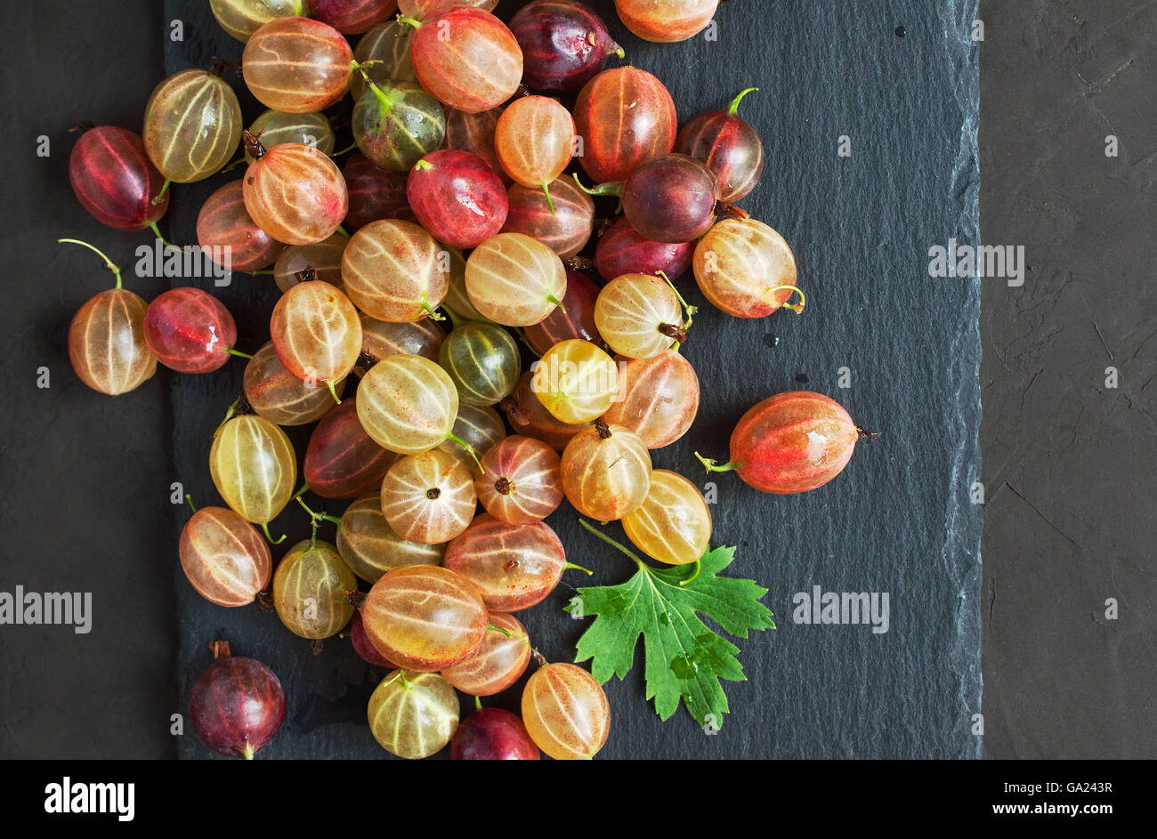 Ripe gooseberry on a slate board background Stock Photo - Alamy