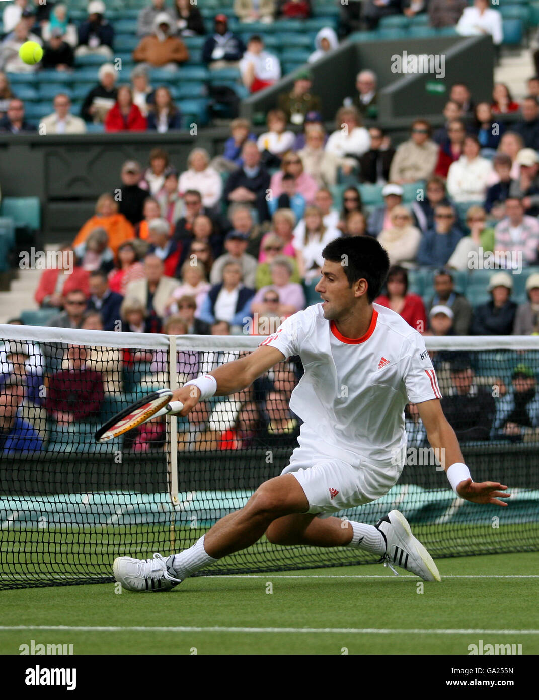 Novak djokovic in action against potito starace hi-res stock ...