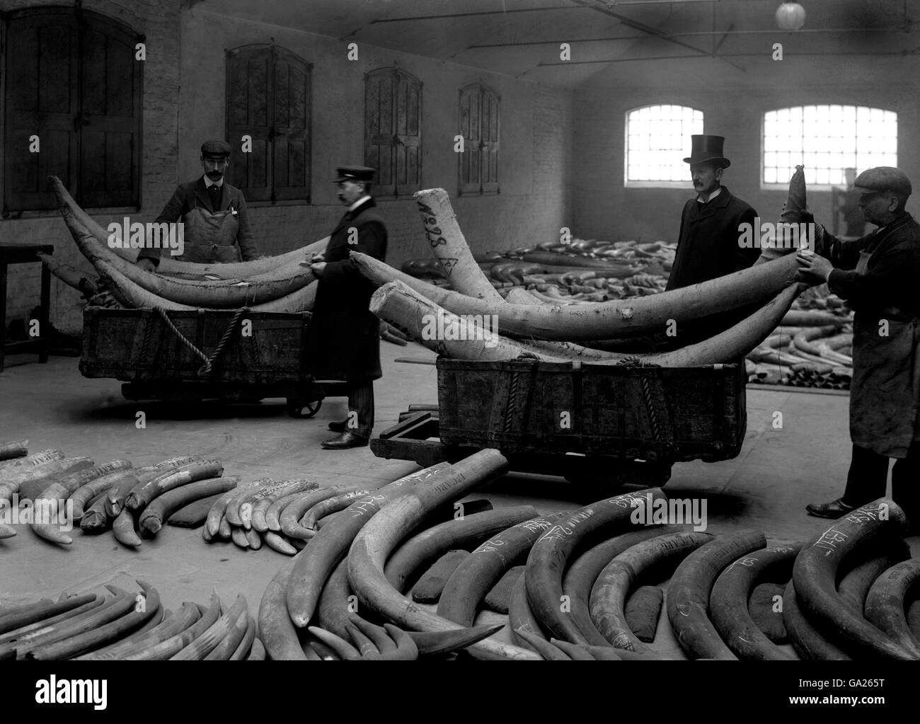 The Docks of London - The Ivory Floor - 1913 Stock Photo - Alamy