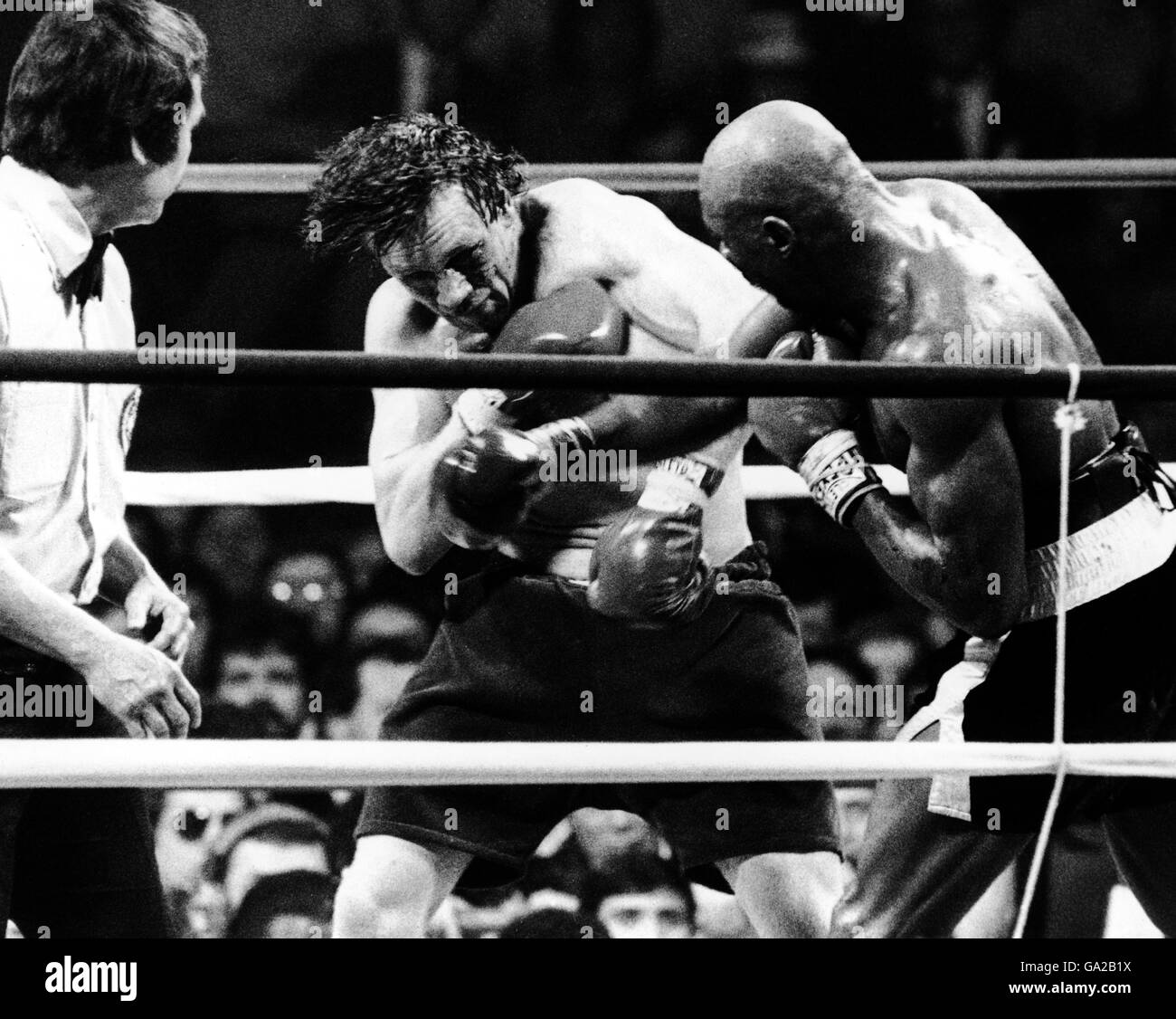 Tony Sibson High Resolution Stock Photography and Images - Alamy