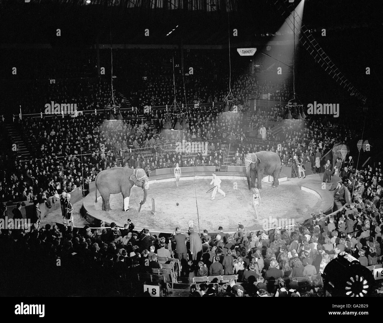 1950s Circus Black and White Stock Photos & Images - Alamy