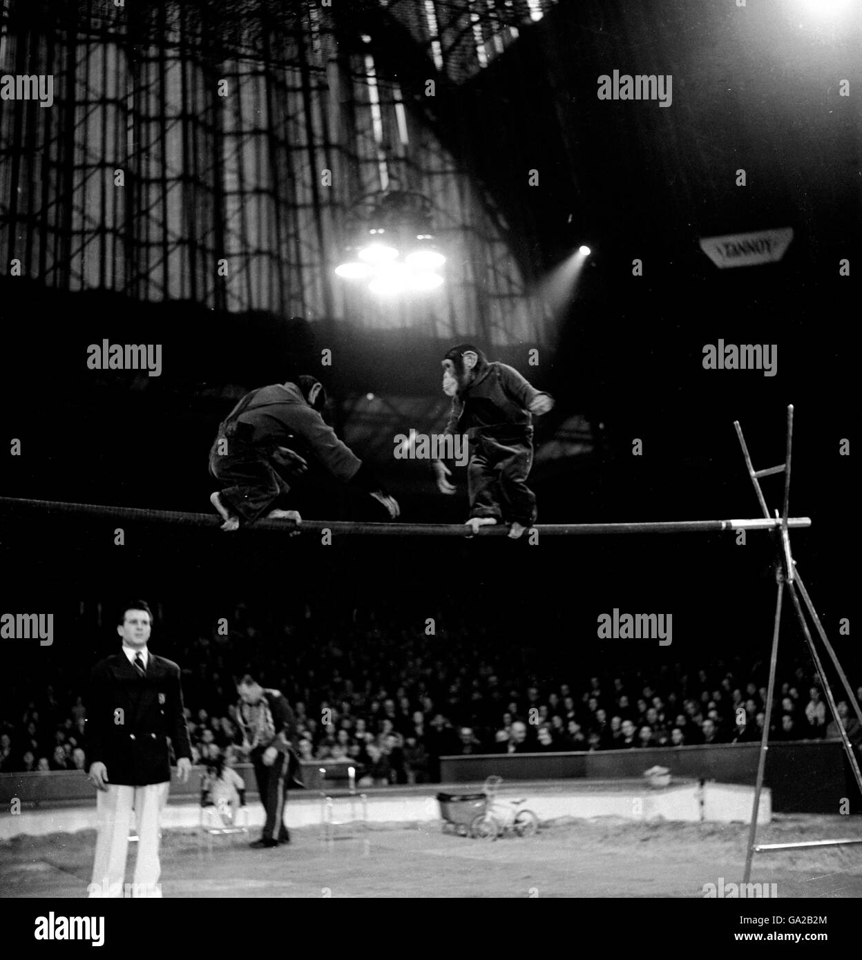 Bertram mills circus Black and White Stock Photos & Images - Alamy