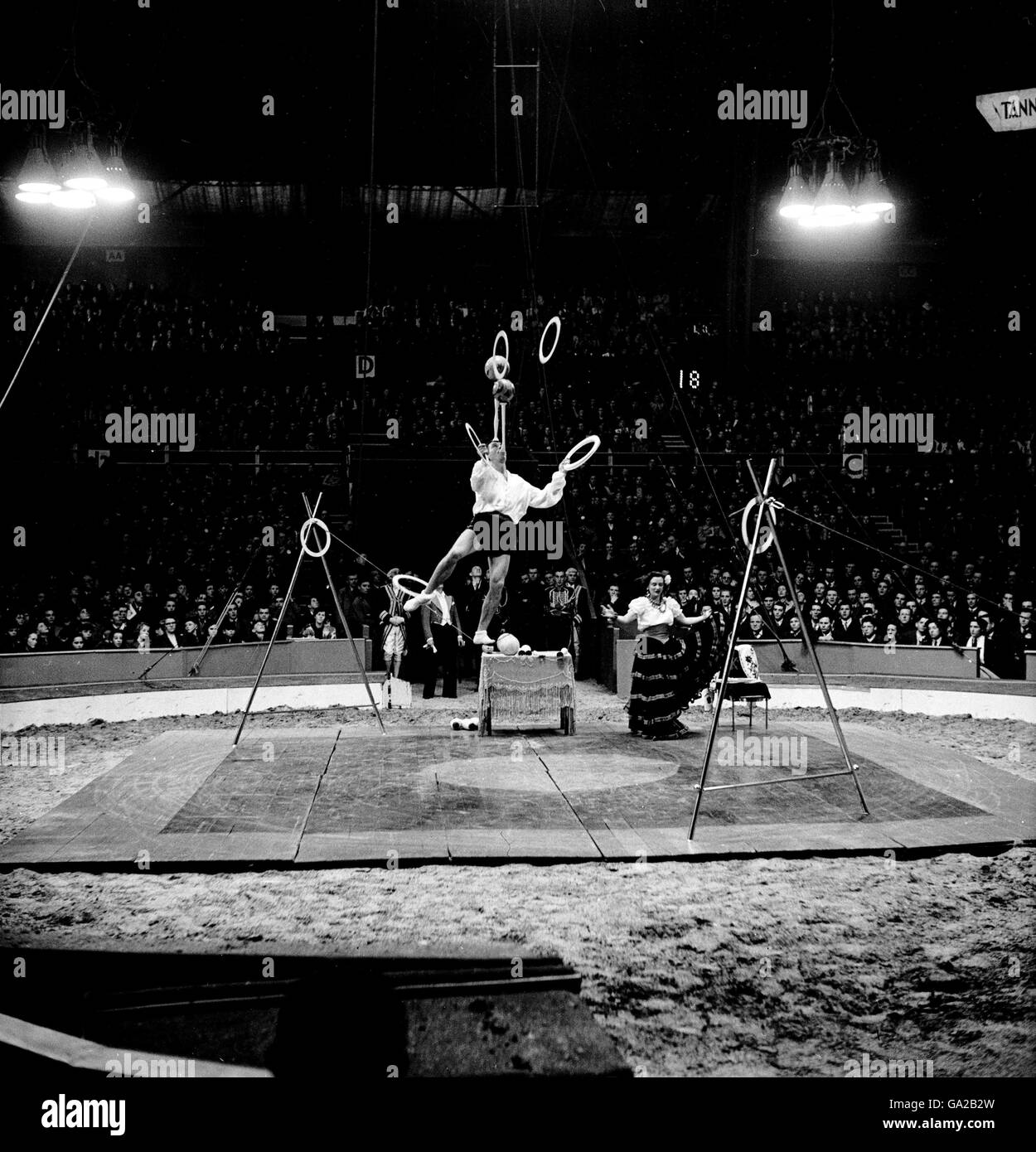 Circus bertram mills circus olympia Black and White Stock Photos ...