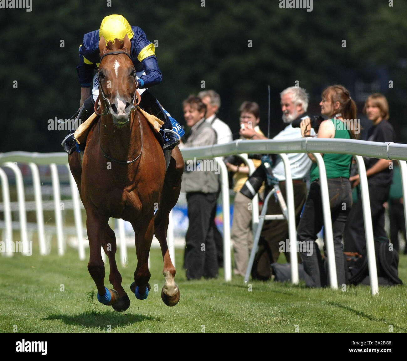 Notnowcato horse hi-res stock photography and images - Alamy