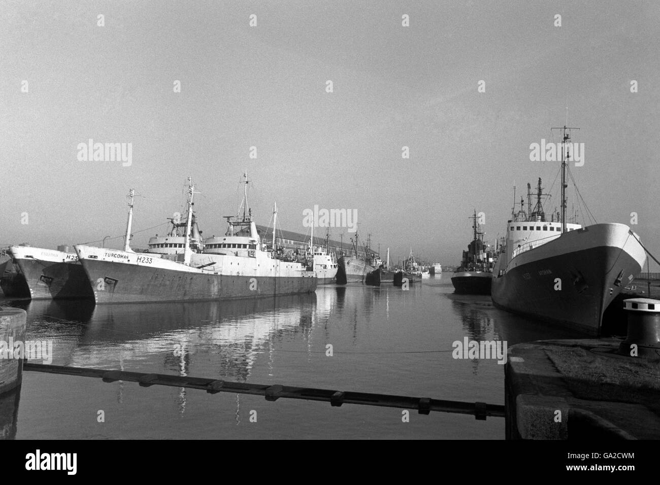 Transport - Hull's Fishing Fleet. Hull trawler 'Turcoman' Stock Photo ...