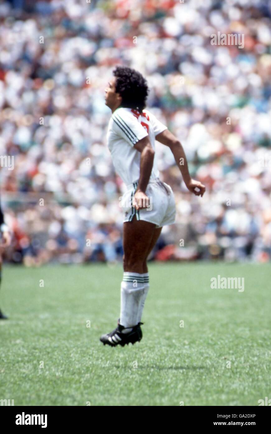Hugo Sanchez Number