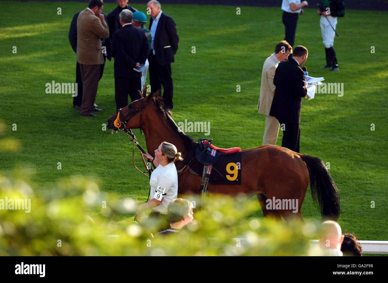 Horses are lead around the parade ring in front of spectators during ...