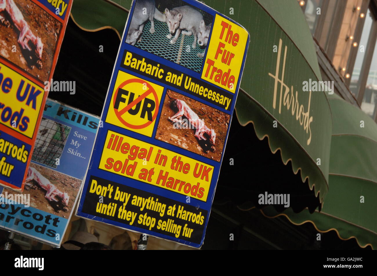 General view gv placard protest protesting the fur trade england hi-res ...