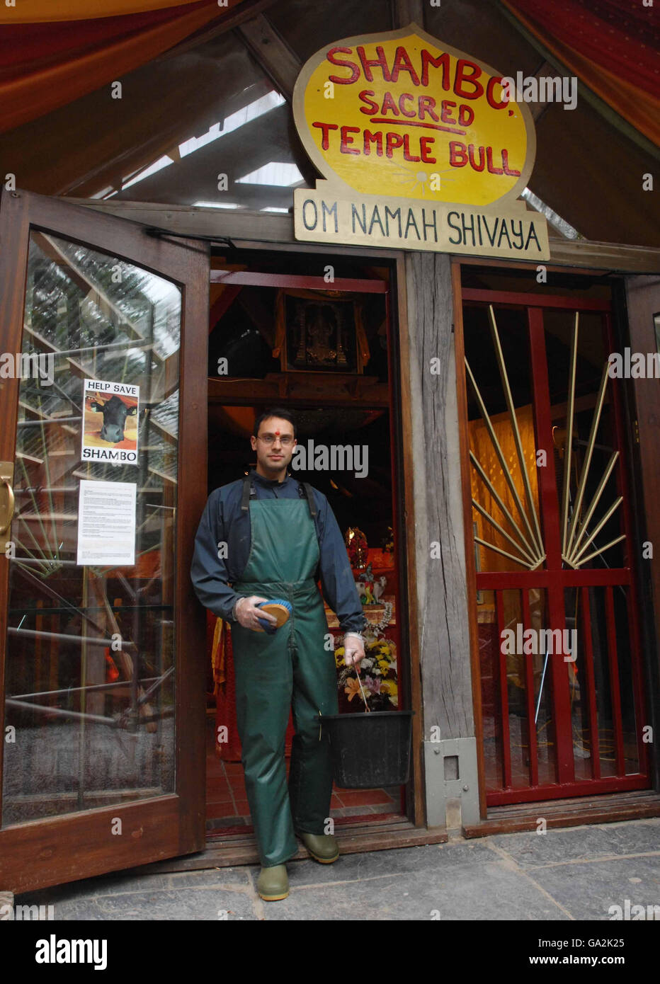 Who looks after shambo the bull hi-res stock photography and images - Alamy