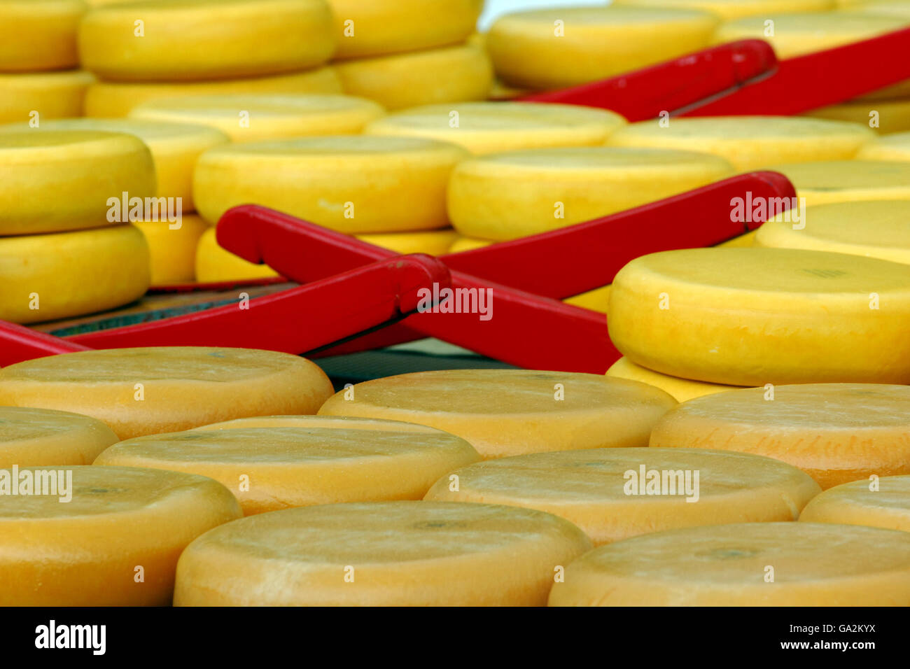 An array of cheeses in the main market square in Alkmaar Stock Photo ...