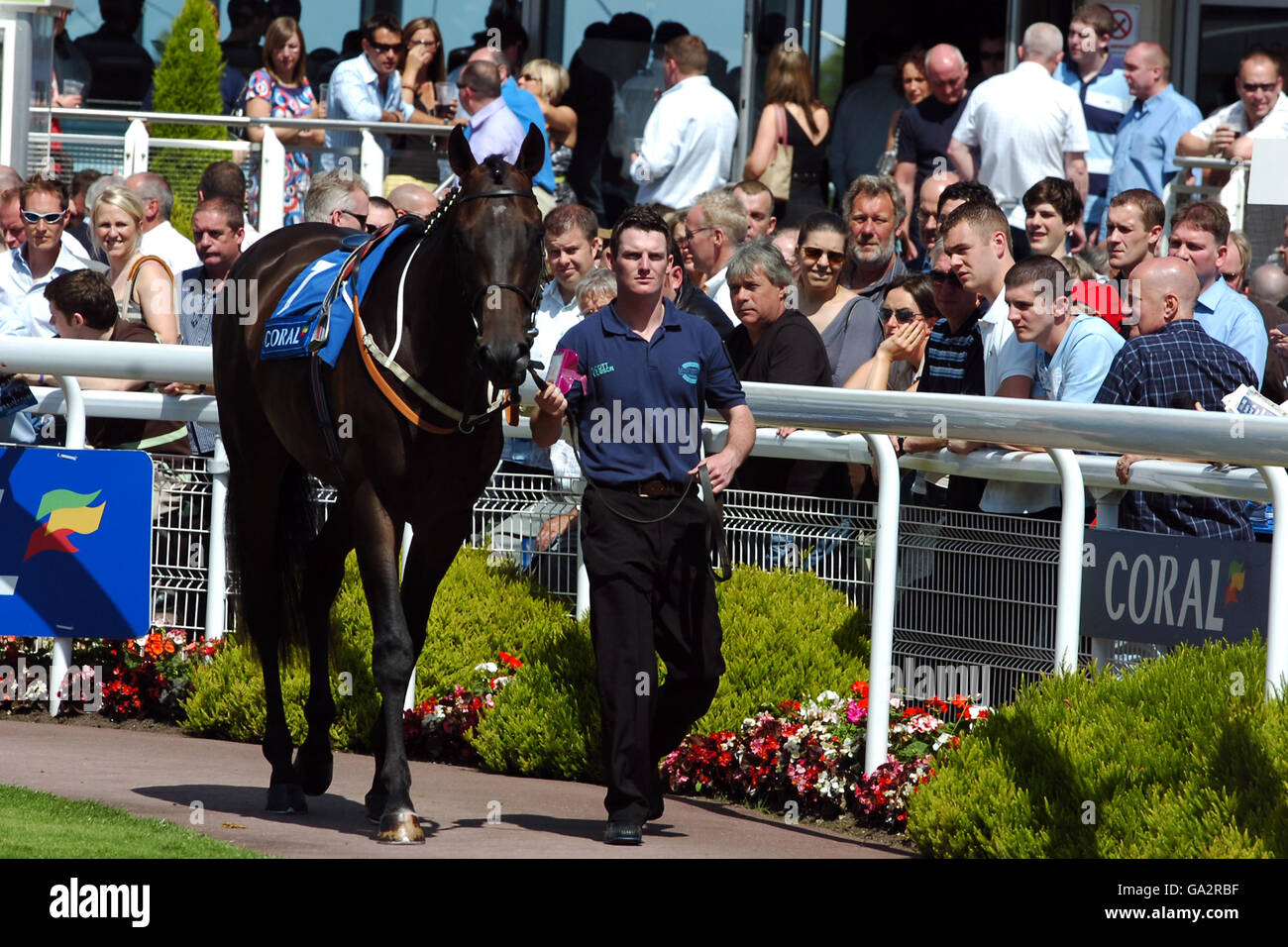 A horse is lead around the parade ring in front of spectators at the ...