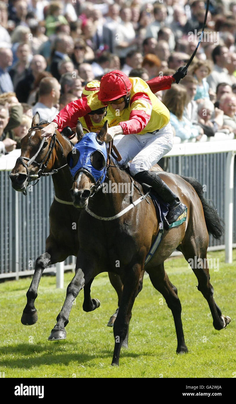 Horse racing york racecourse hi-res stock photography and images - Alamy