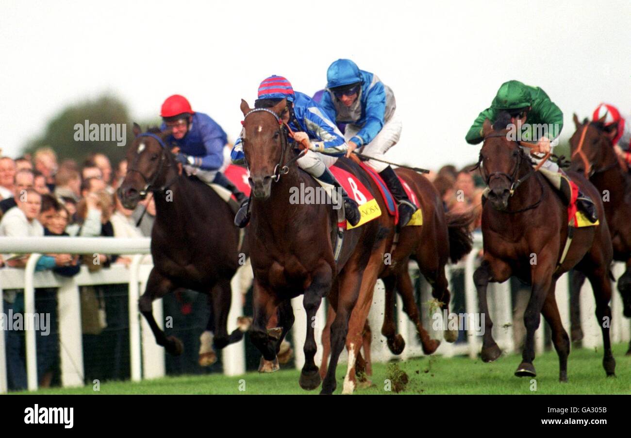 Horse Racing - The St Leger - Doncaster Stock Photo - Alamy