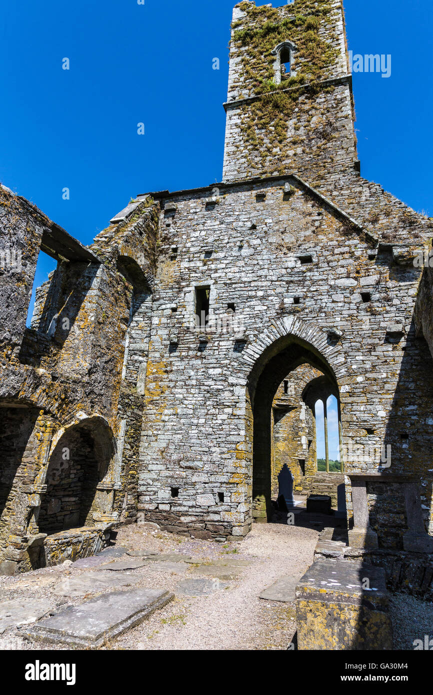 Timoleague Franciscan friary County Cork Ireland Stock Photo - Alamy