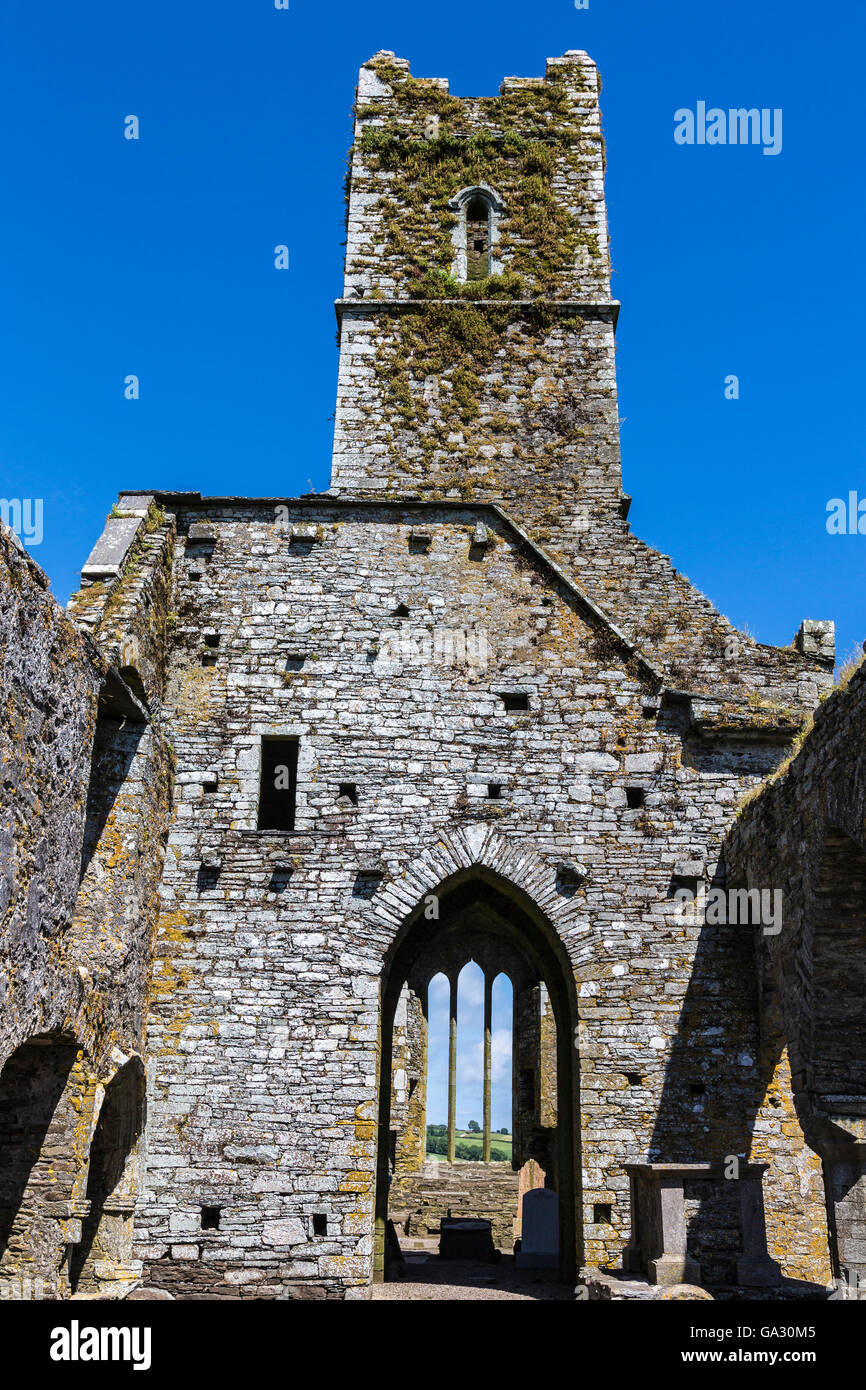 Timoleague Franciscan friary County Cork Ireland Stock Photo - Alamy