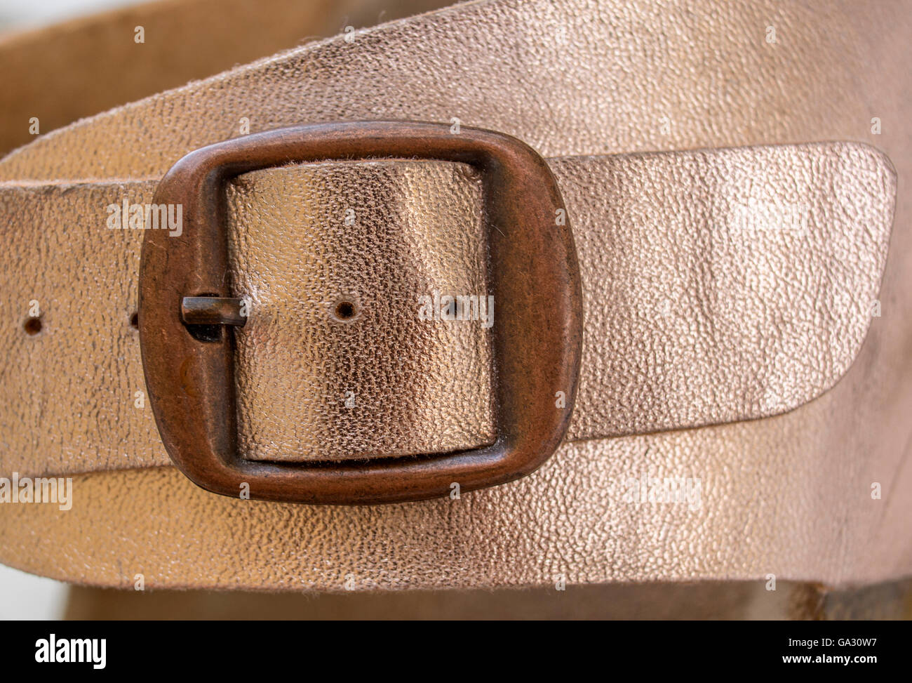 Shiny buckle hi-res stock photography and images - Alamy