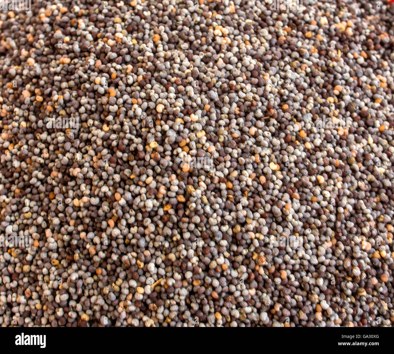 Blue Poppy Seed High Resolution Stock Photography and Images - Alamy