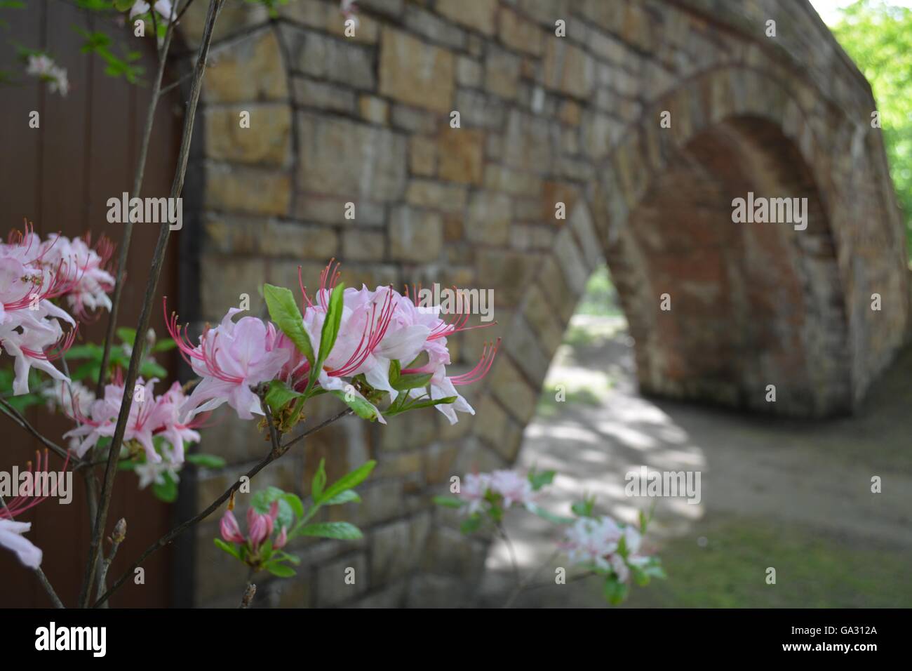 A bridge with flowers in Riverway Park in between Boston and Brookline ...