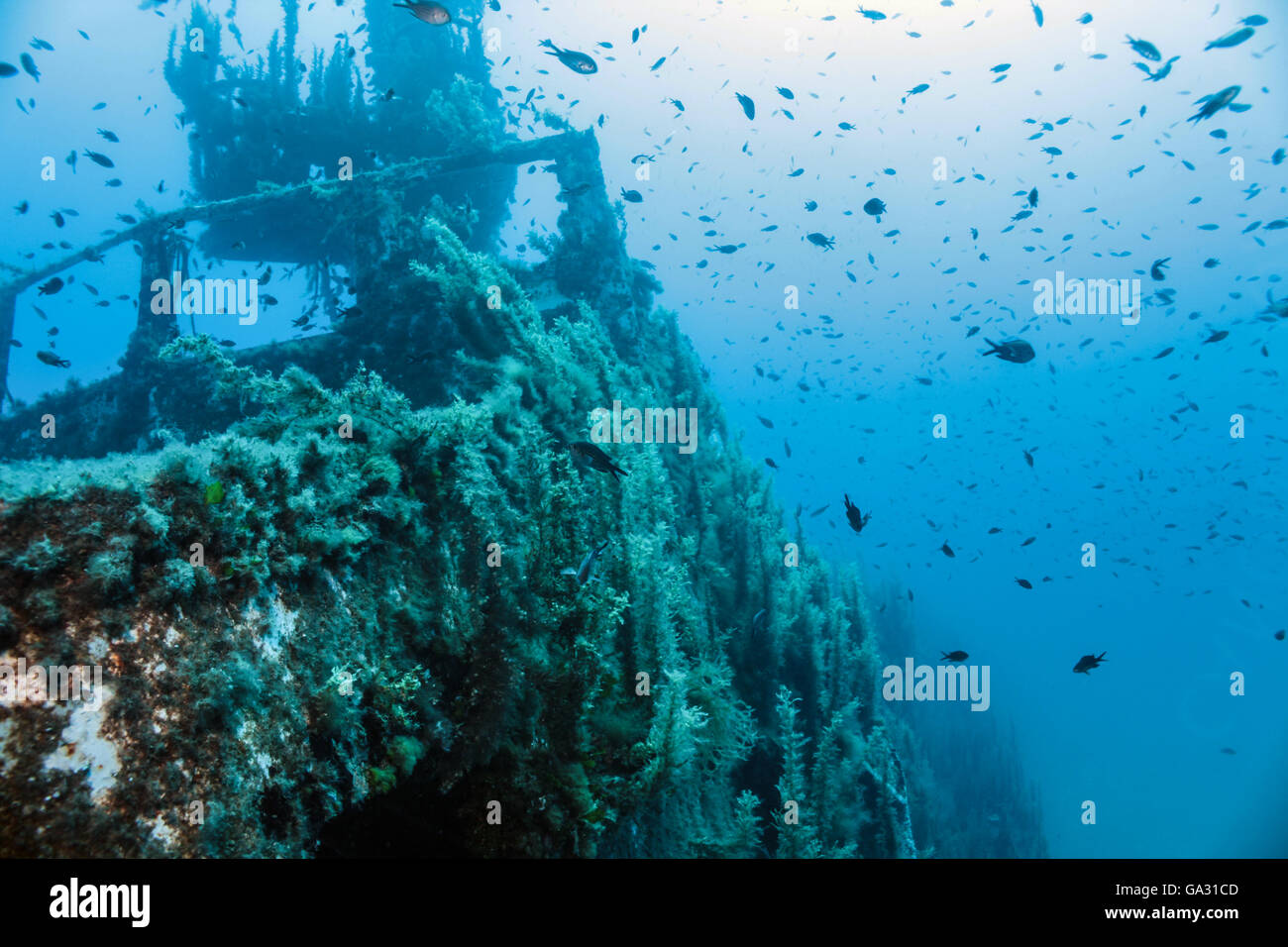 The port side of the bridge taken from the fore deck of a sunken patrol ...