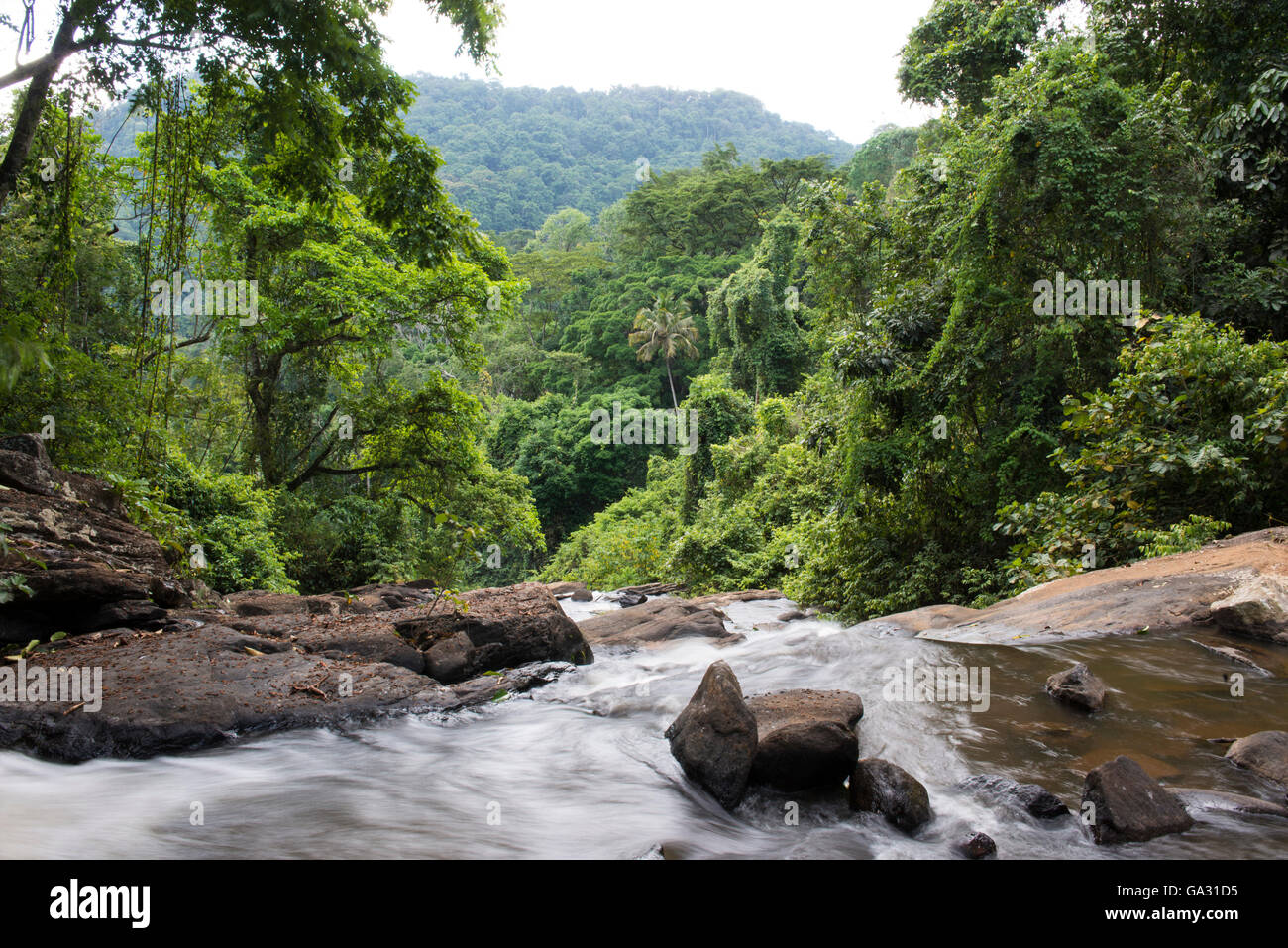 Amani nature reserve, hi-res stock photography and images - Alamy