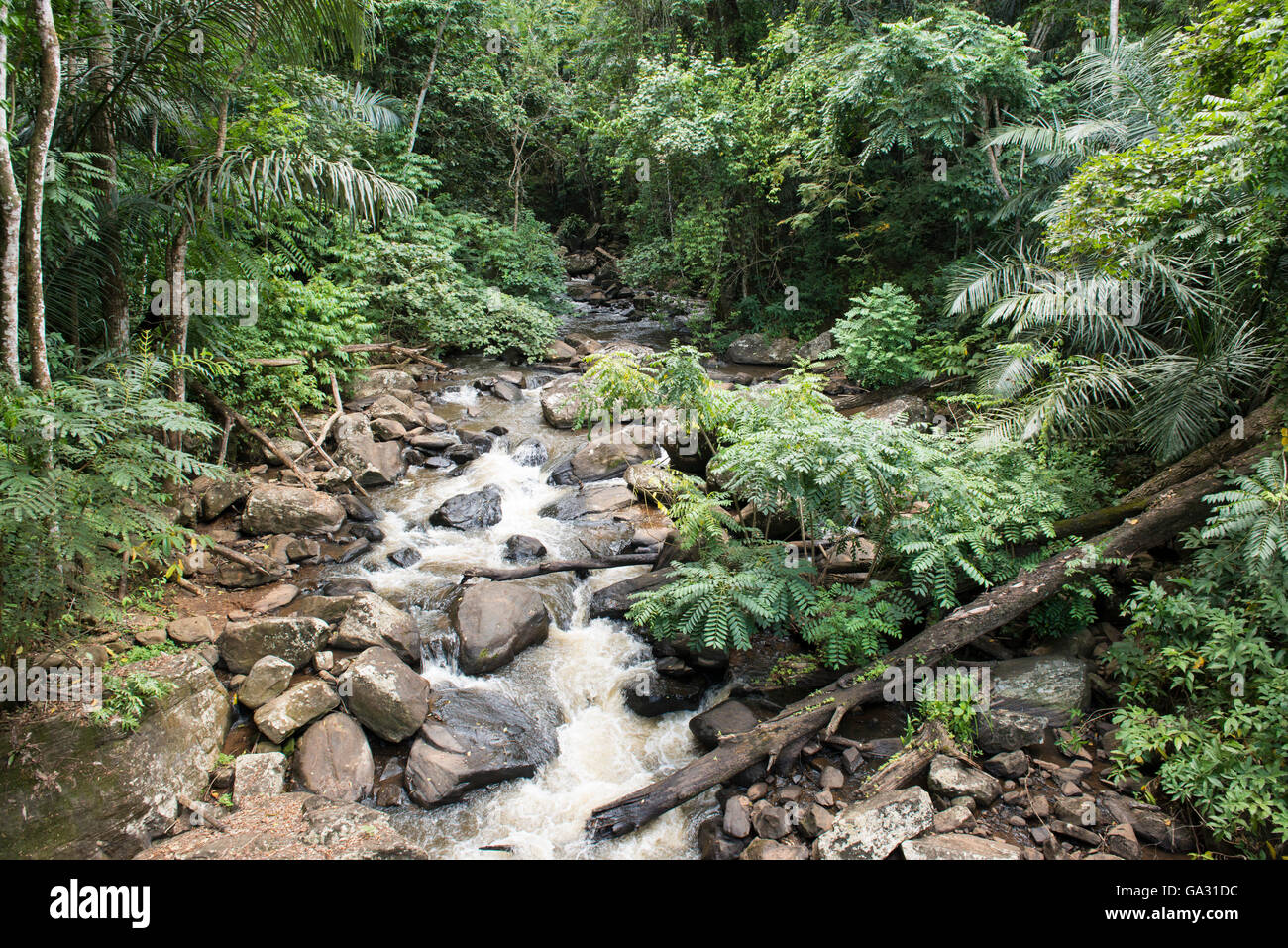 Stream in nature reserve hi-res stock photography and images - Alamy